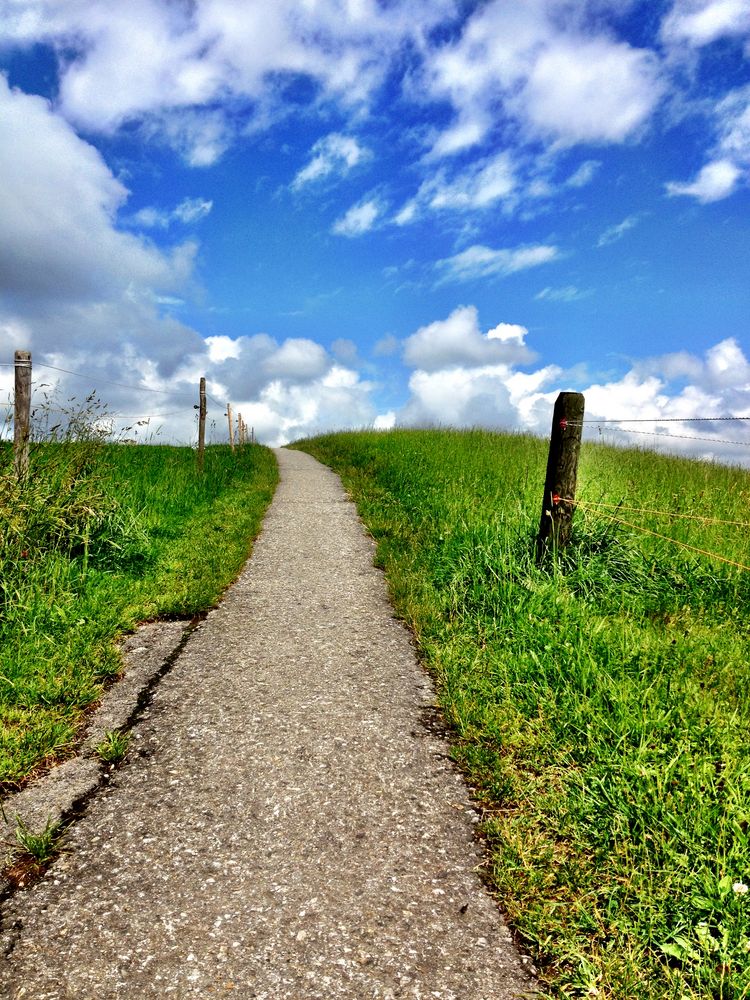 Weg zum Horizont Foto & Bild | landschaft, wege und pfade, natur Bilder ...