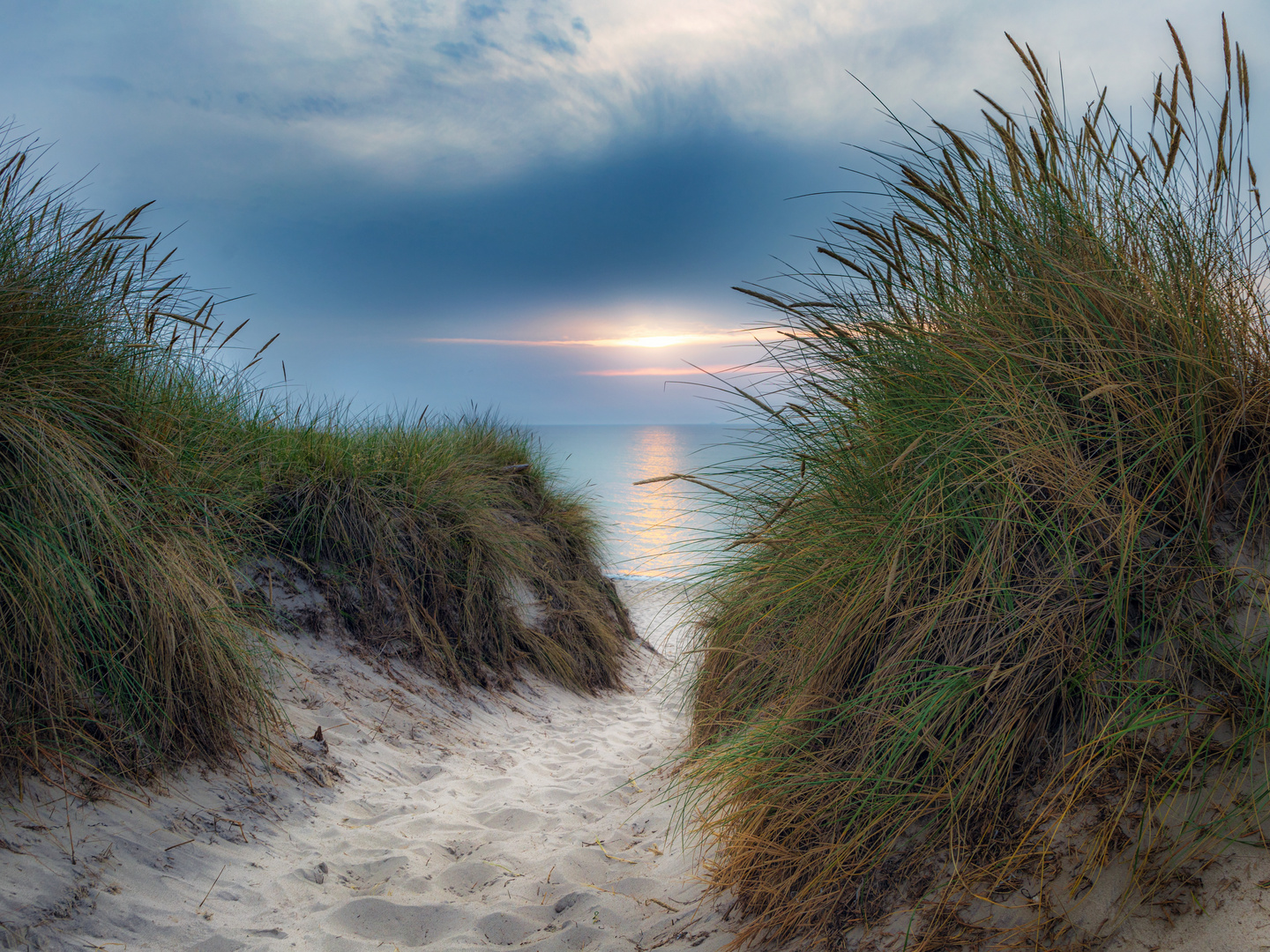 Weg zum Strand Foto & Bild | deutschland, europe, mecklenburg- vorpommern Bilder auf fotocommunity
