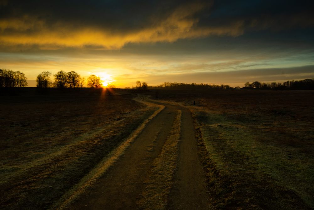 Weg zur Sonne Foto & Bild | jahreszeiten, winter, fotos Bilder auf ...