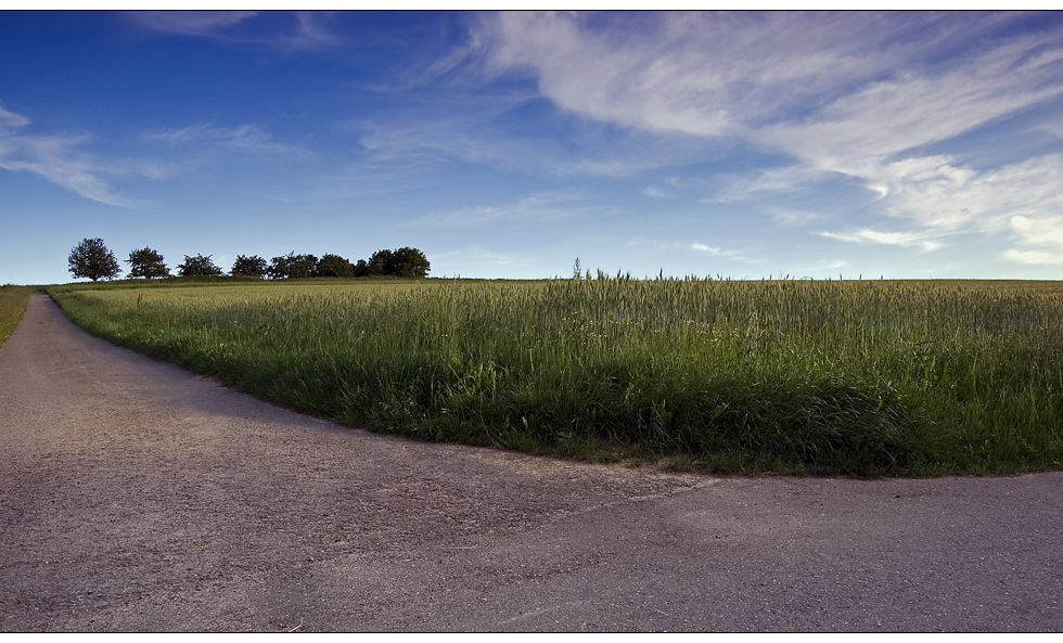 * Wege * Foto & Bild | landschaft, wege und pfade, waka huia Bilder auf ...