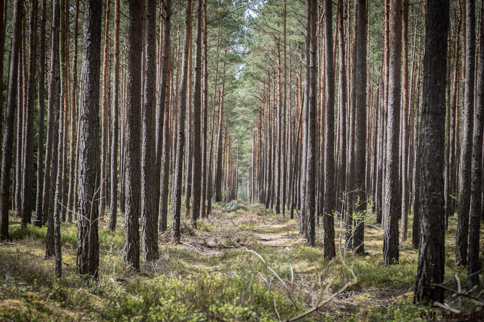 Wege Foto & Bild | landschaft, wege und pfade, fotos Bilder auf ...