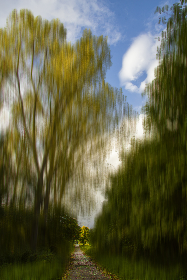 Wege Foto & Bild | Ästhetik der sichtbarkeit, specials, auswahl ...