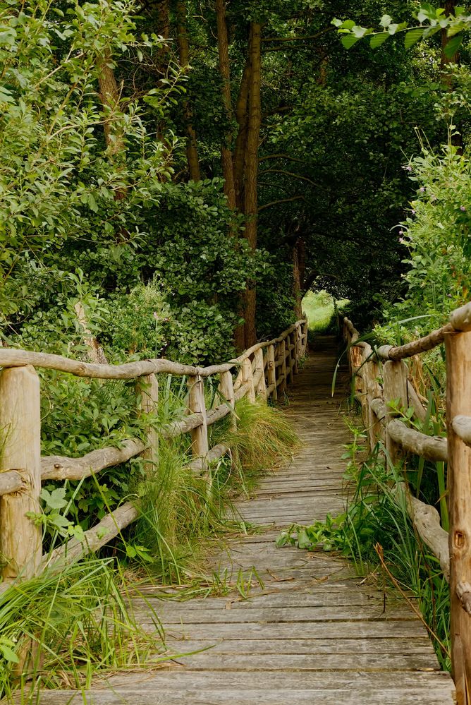 Wege ... Foto & Bild | weg, natur, landschaft Bilder auf fotocommunity