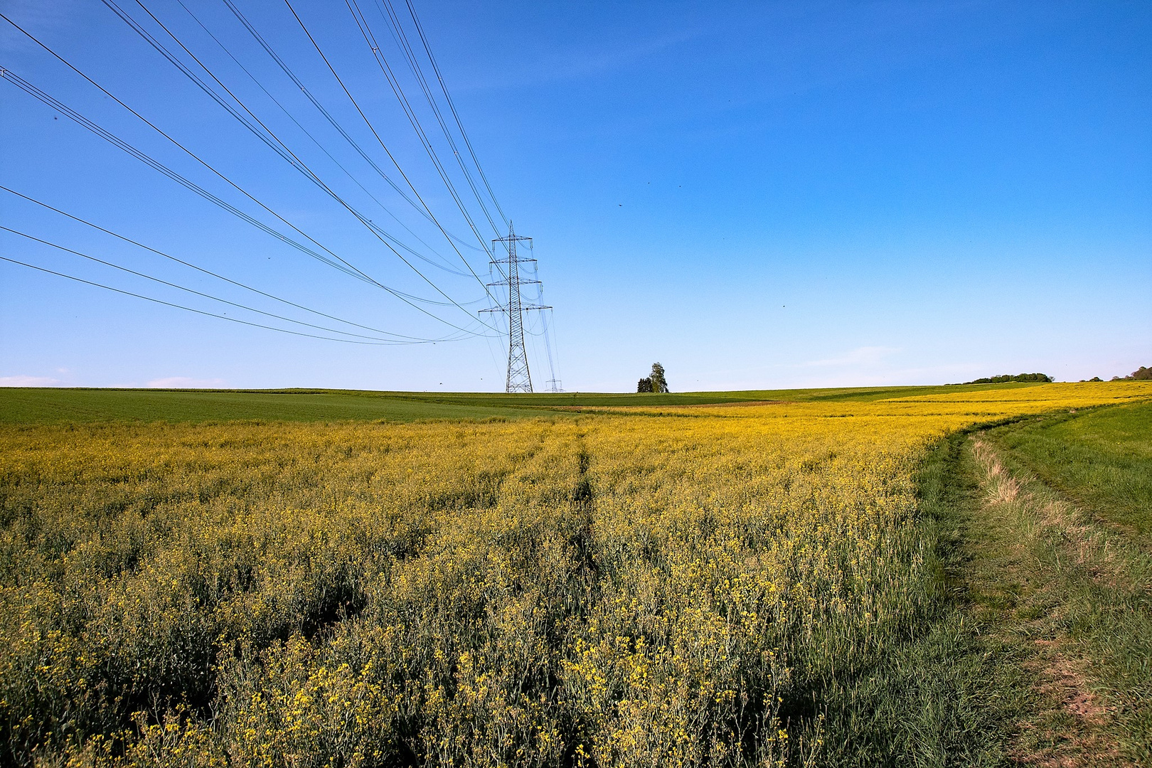Wege Foto & Bild | landschaft, jahreszeiten, Äcker, felder & wiesen ...