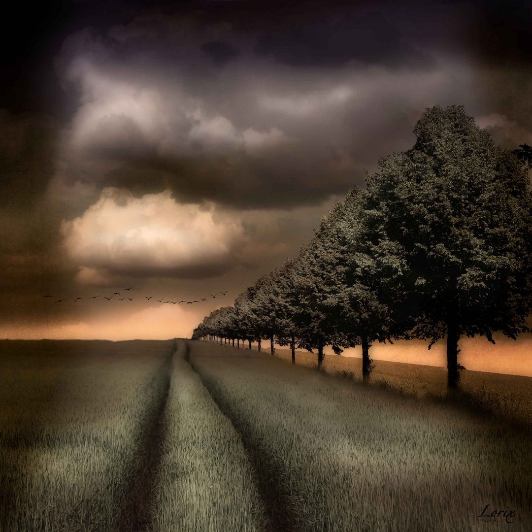 Wege Foto & Bild | bearbeitungs - techniken, filtertechniken, licht ...