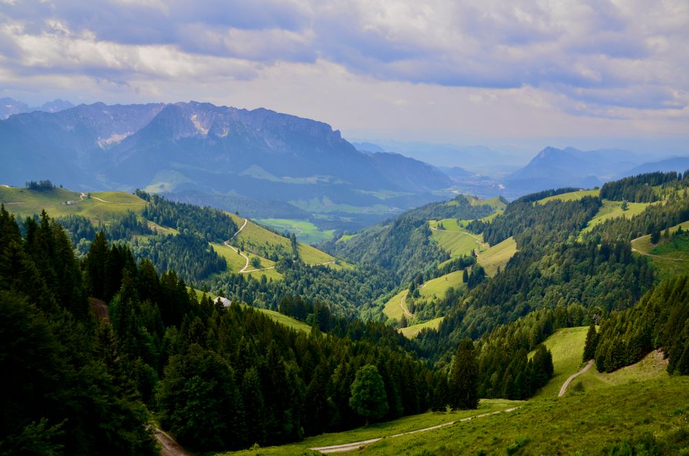 Wege Foto & Bild | world, wald, grün Bilder auf fotocommunity