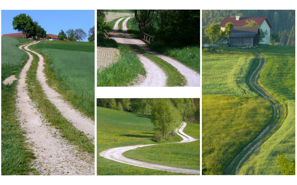 Wege Foto & Bild | landscape, fields & meadows, nature Bilder auf ...