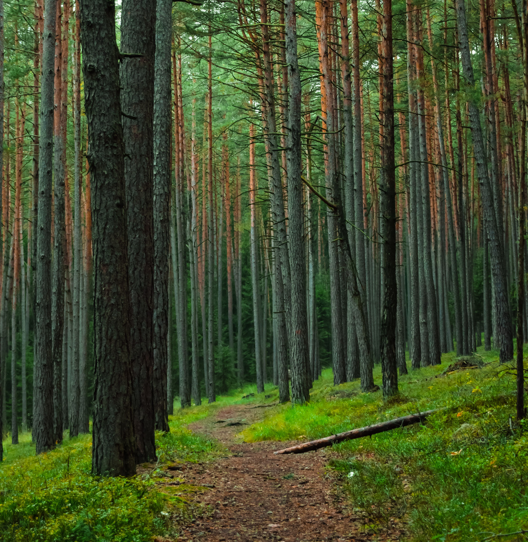 Wege Foto & Bild | deutschland, europe, bayern Bilder auf fotocommunity
