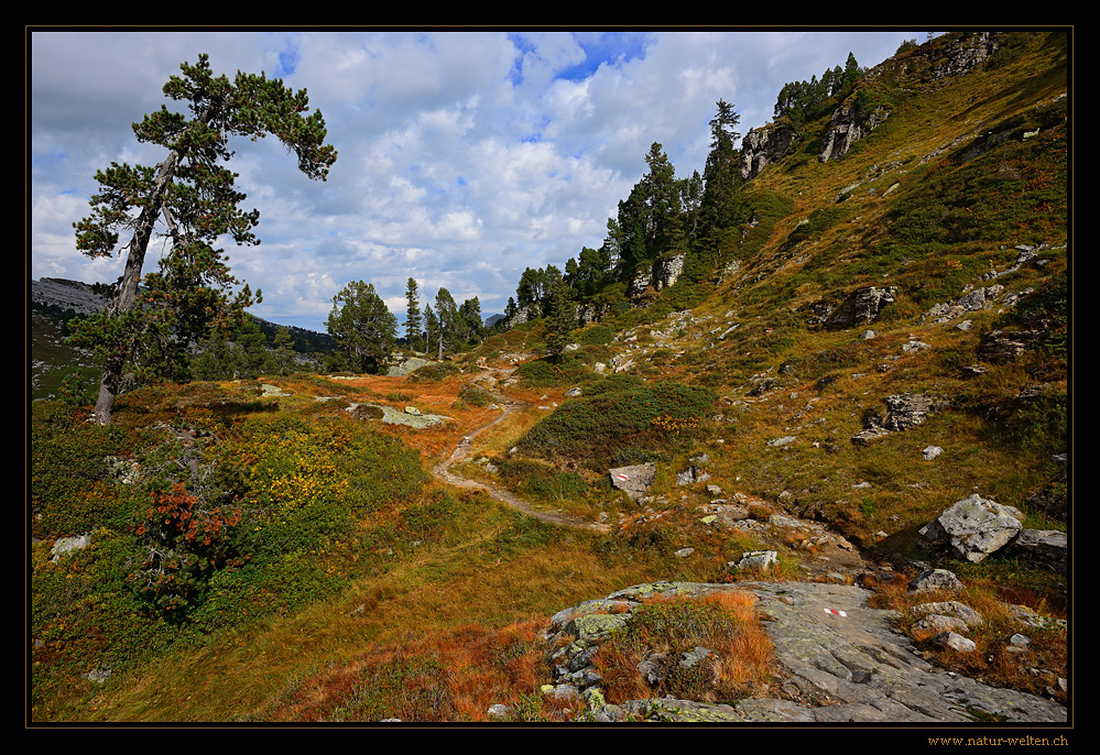 Wege... Foto & Bild | europe, schweiz & liechtenstein, kt. bern Bilder ...