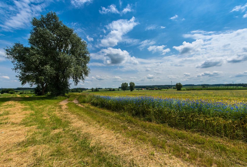 Wege Foto & Bild | landschaft, natur Bilder auf fotocommunity