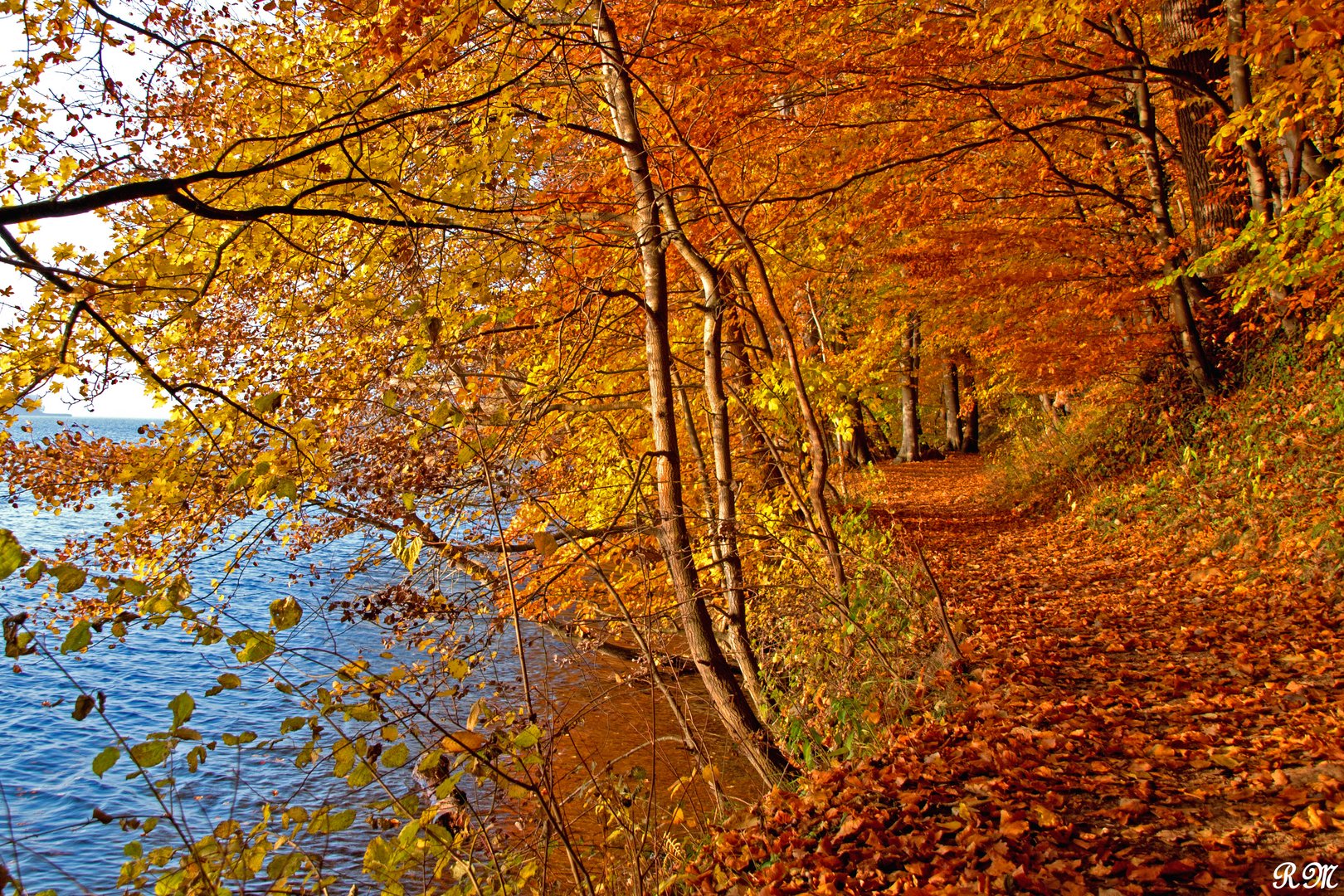 Wege Foto & Bild | jahreszeiten, herbst, natur Bilder auf fotocommunity