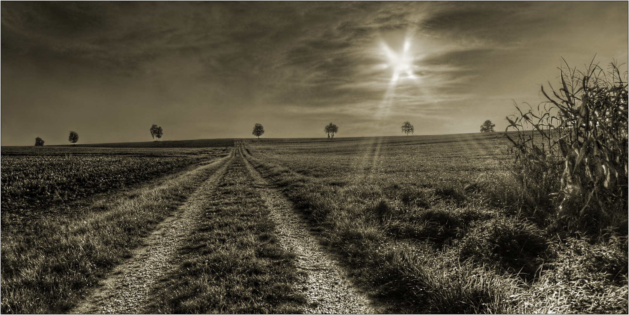 Wege gehen Foto & Bild | fotokunst, monochrome fine art, monochrome ...