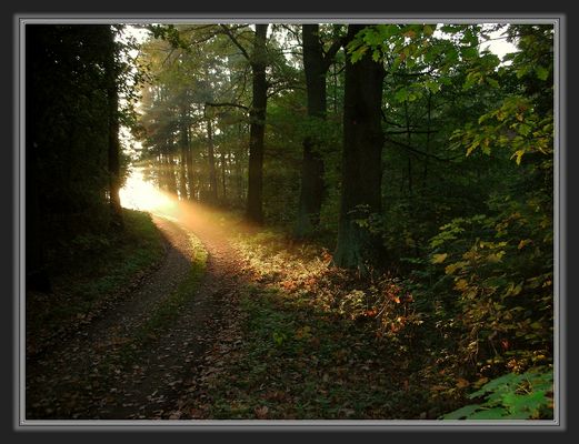 Peter Lohse 1954 -† 2012 Bilder & Fotos