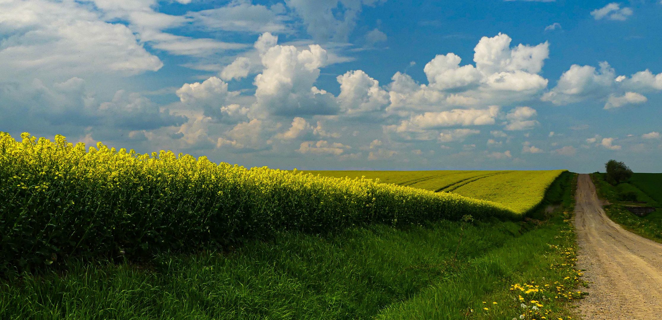 Wege übers Land Foto & Bild | landschaft, kulturlandschaften, feld ...