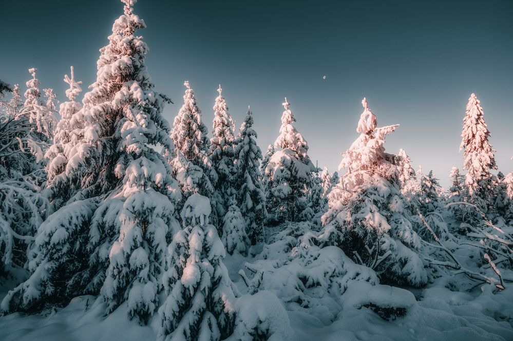 Wegweiser Foto & Bild | landschaft, jahreszeiten, winter Bilder auf fotocommunity