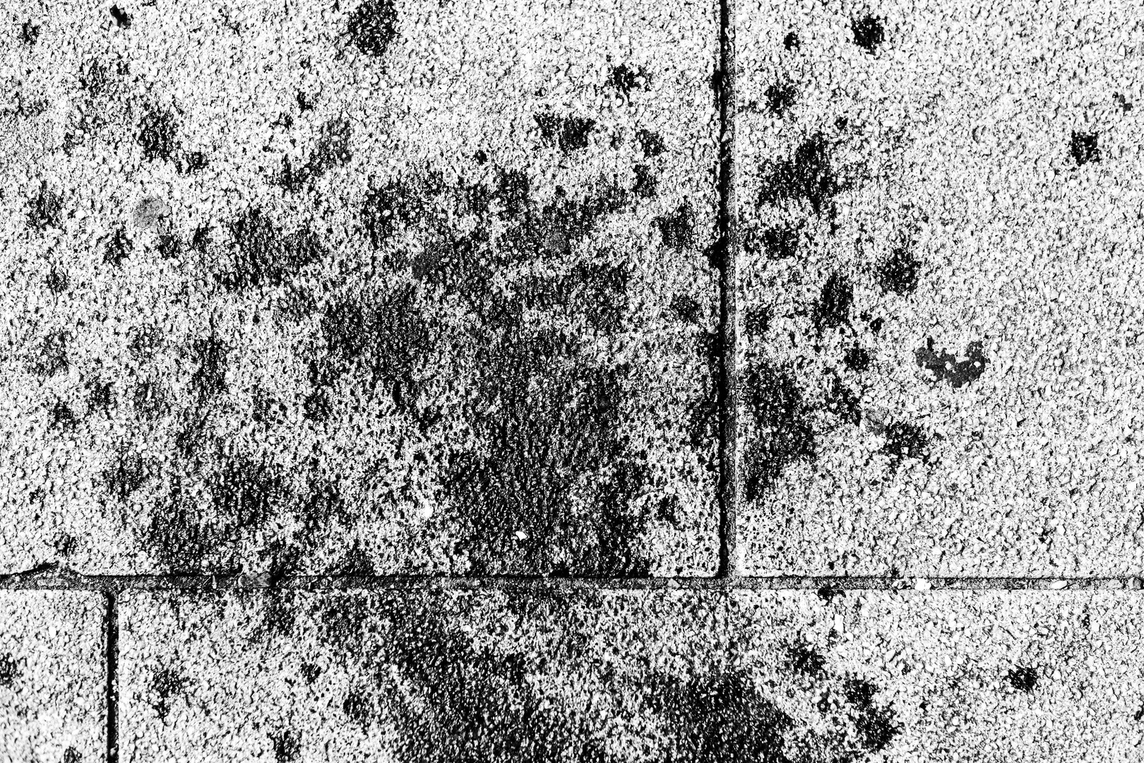 Wehtun ... .. . Foto & Bild | blut, sonntag Bilder auf fotocommunity