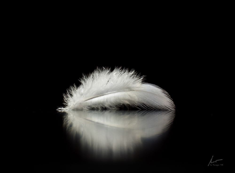 weich Foto & Bild | natur-tabletop, natur-kreativ, aufnahmetechniken ...