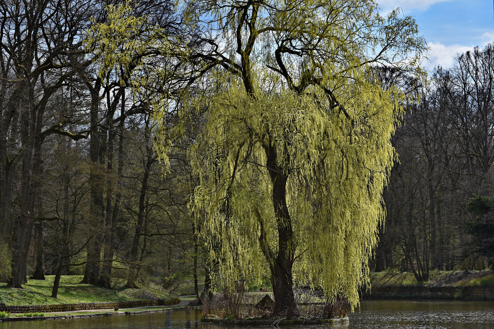 Weide Foto & Bild | deutschland, europe, bayern Bilder auf fotocommunity
