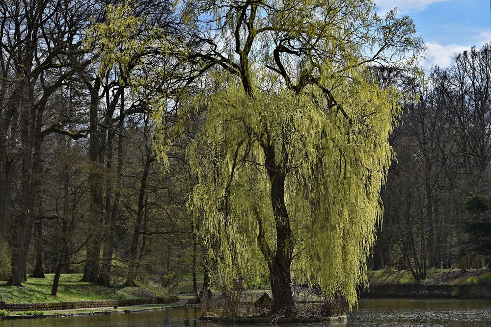 Weide Foto & Bild | deutschland, europe, bayern Bilder auf fotocommunity