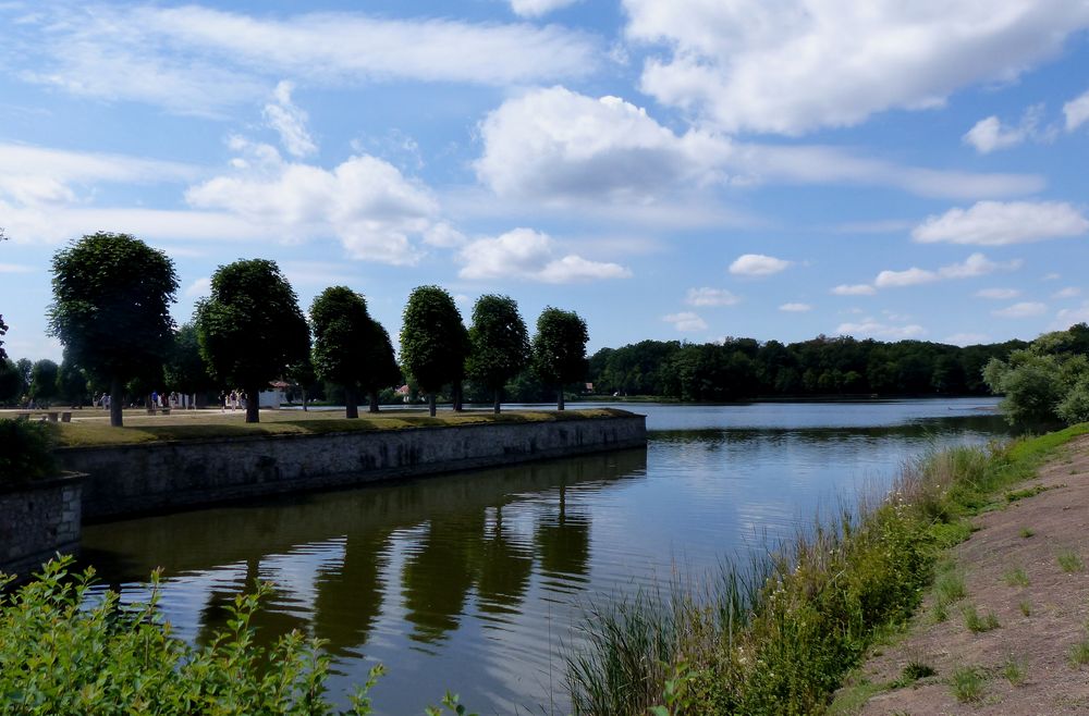 Weiden Foto & Bild | landschaft, jahreszeiten, sommer Bilder auf ...