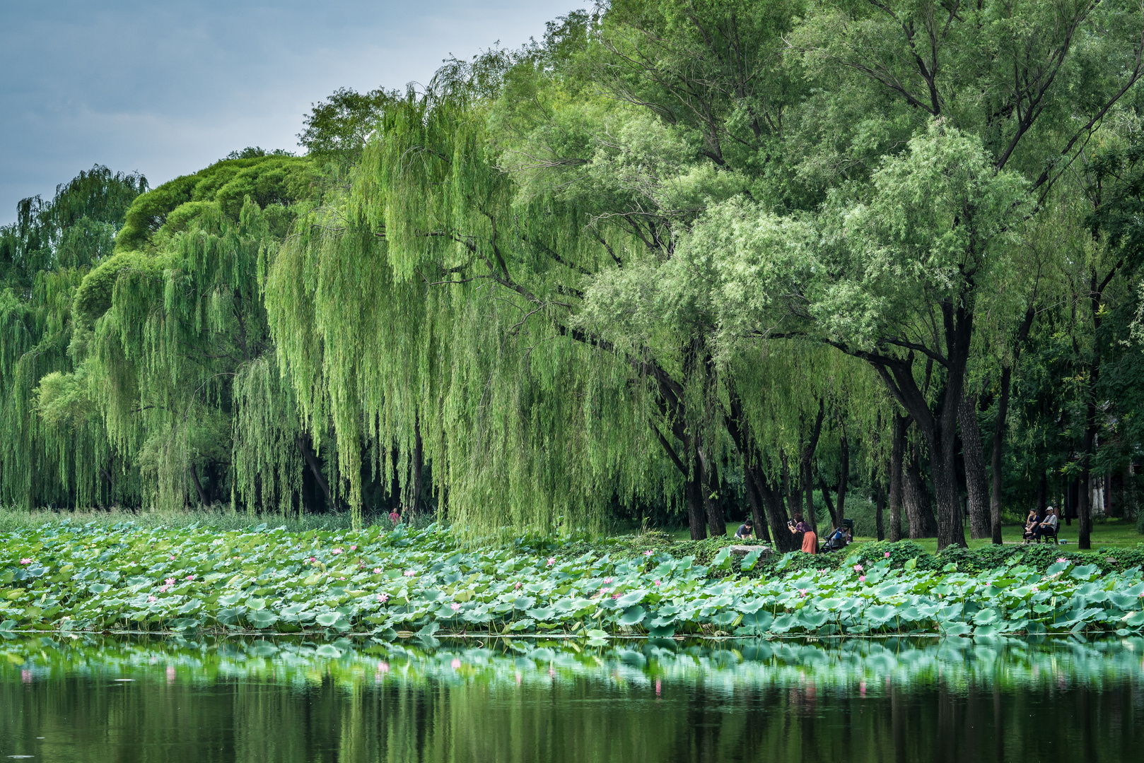 Weiden Foto & Bild | erwachsene menschen, asia, china Bilder auf ...