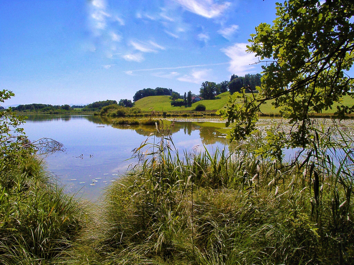 Weiher Foto & Bild | fotos, world, natur Bilder auf fotocommunity