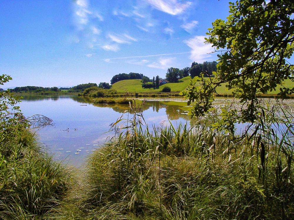 Weiher Foto & Bild | fotos, world, natur Bilder auf fotocommunity