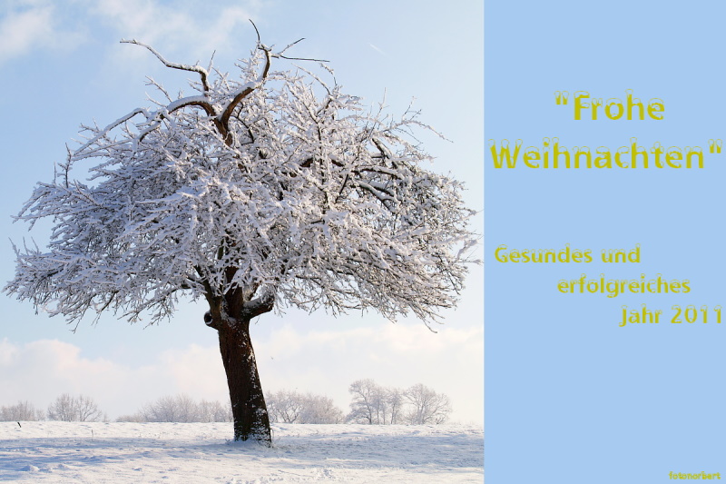 Weihnachten + Neujahr Foto & Bild | gratulation und feiertage, wünsche ...