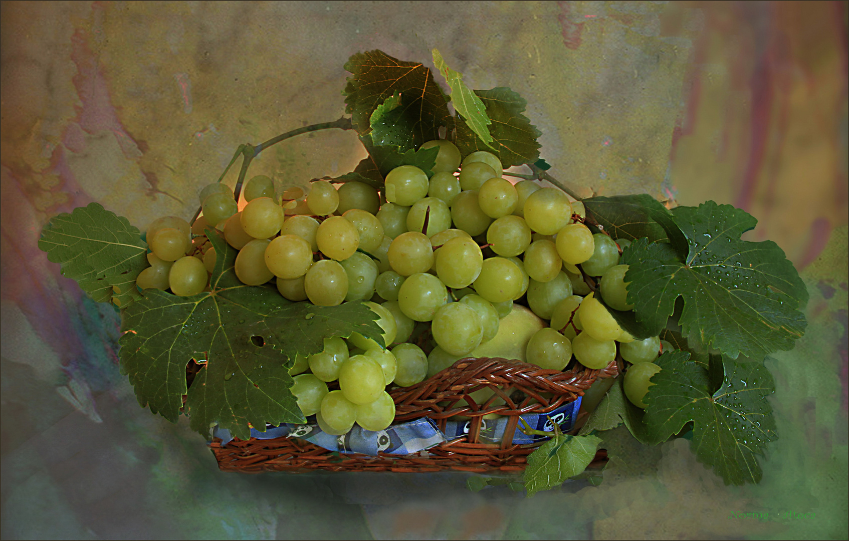 Wein Trauben aus Mendoza Foto & Bild | stillleben , motive, special ...