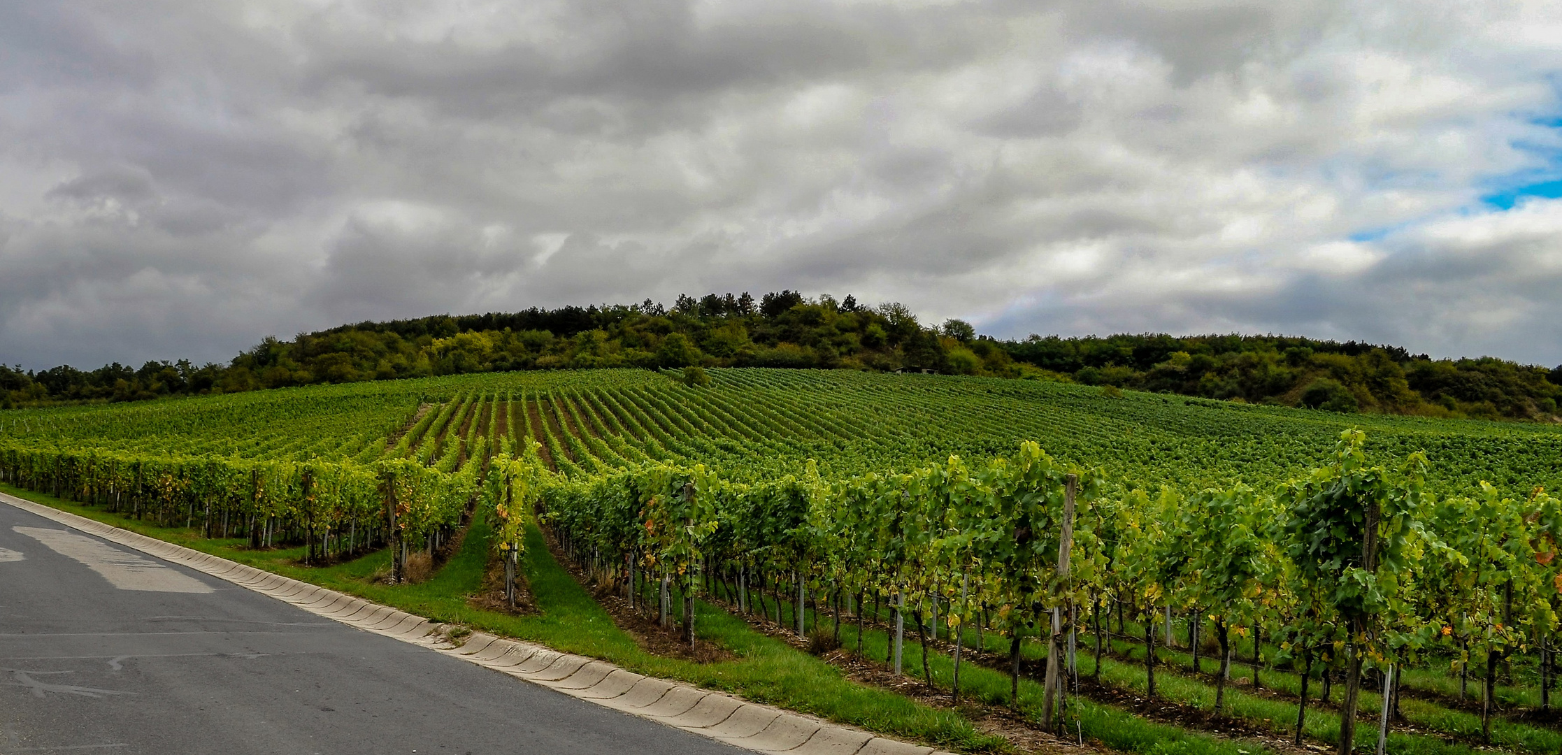 Weinberg bei Sommerhausen Foto & Bild | landschaft, kulturlandschaften ...