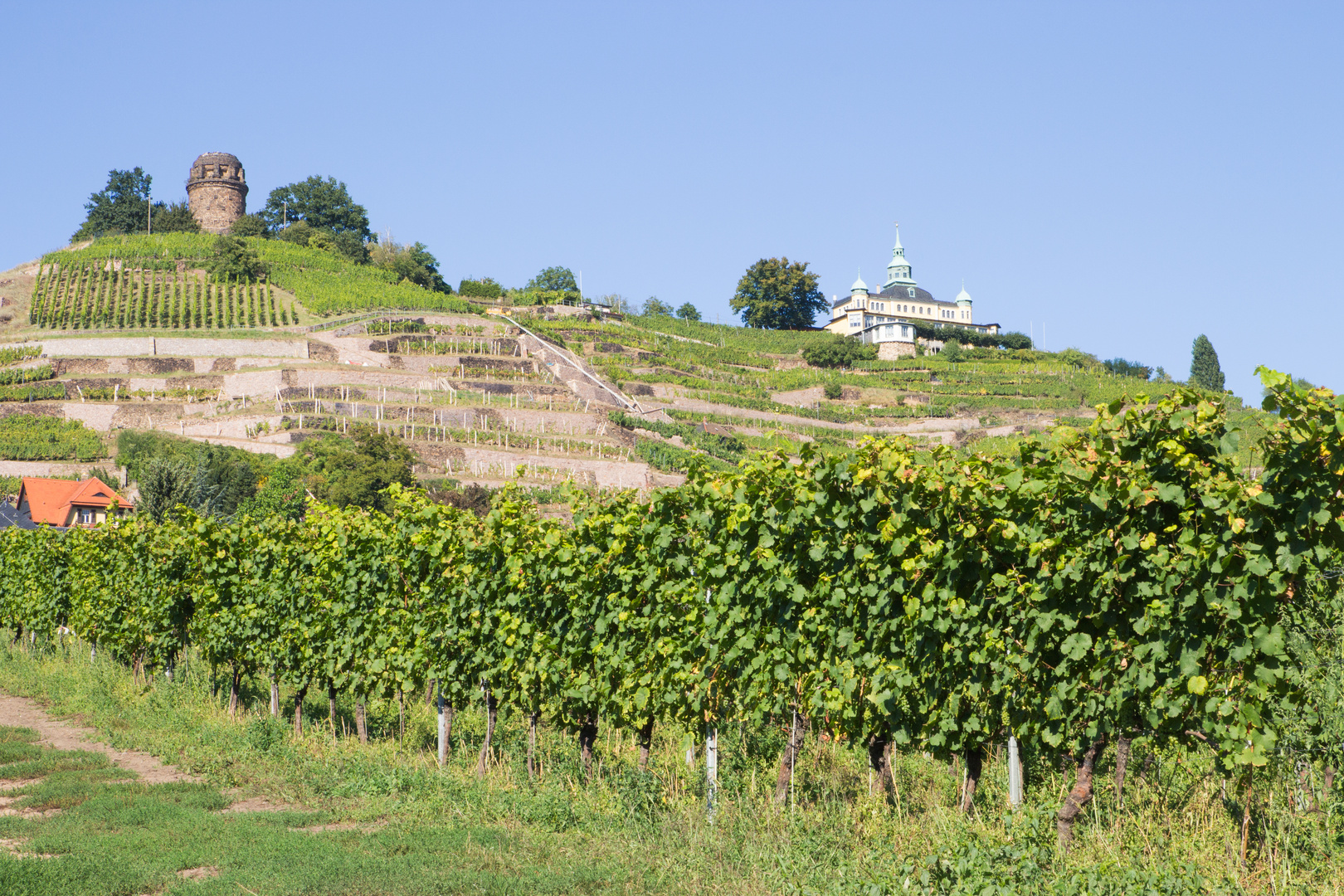 Weinberg Dresden Radebeul Foto & Bild | deutschland, europe, radebeul ...