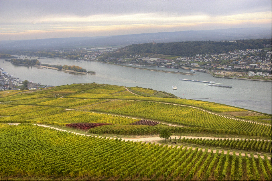 Weinberge Foto & Bild | deutschland, europe, hessen Bilder auf ...