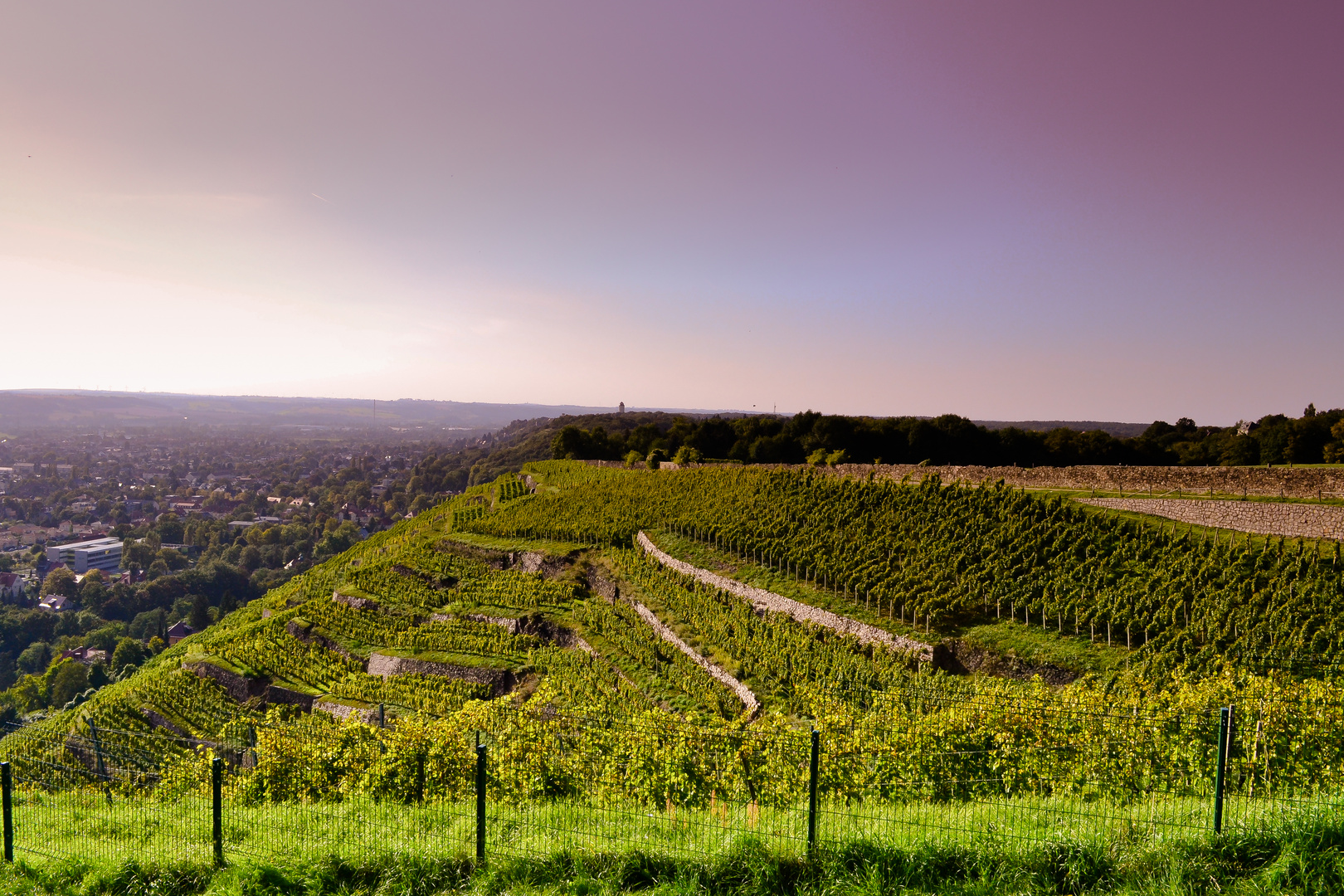 Weinberge von Radebeul (Spitzhaus bei Dresden) Foto & Bild | landschaft ...