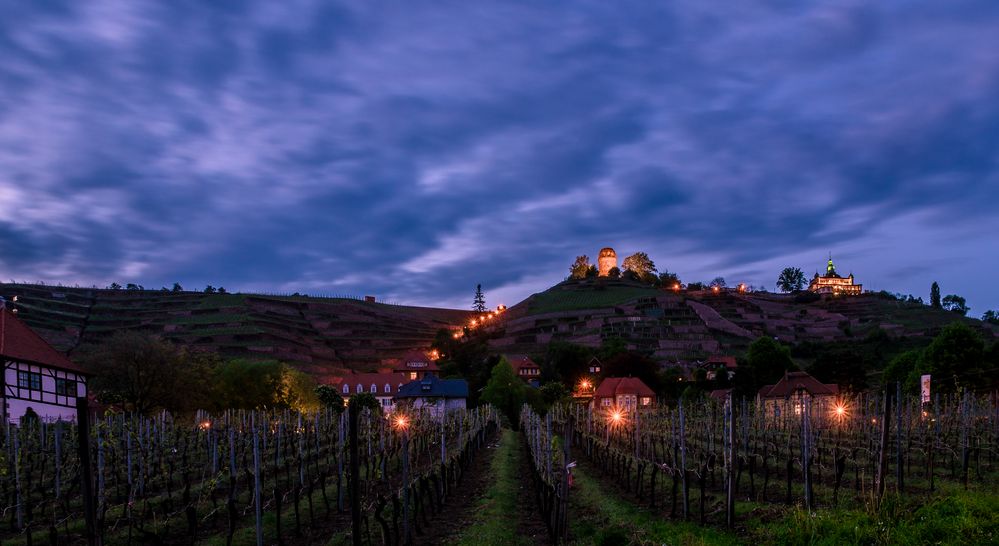 Weinberge zur blauen Stunde in Radebeul Foto & Bild | world, landschaft ...