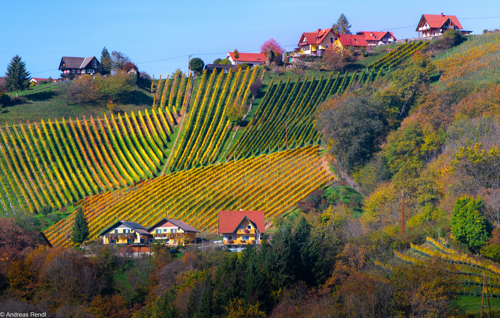 Weingarten Foto & Bild | europe, Österreich, landschaft Bilder auf ...