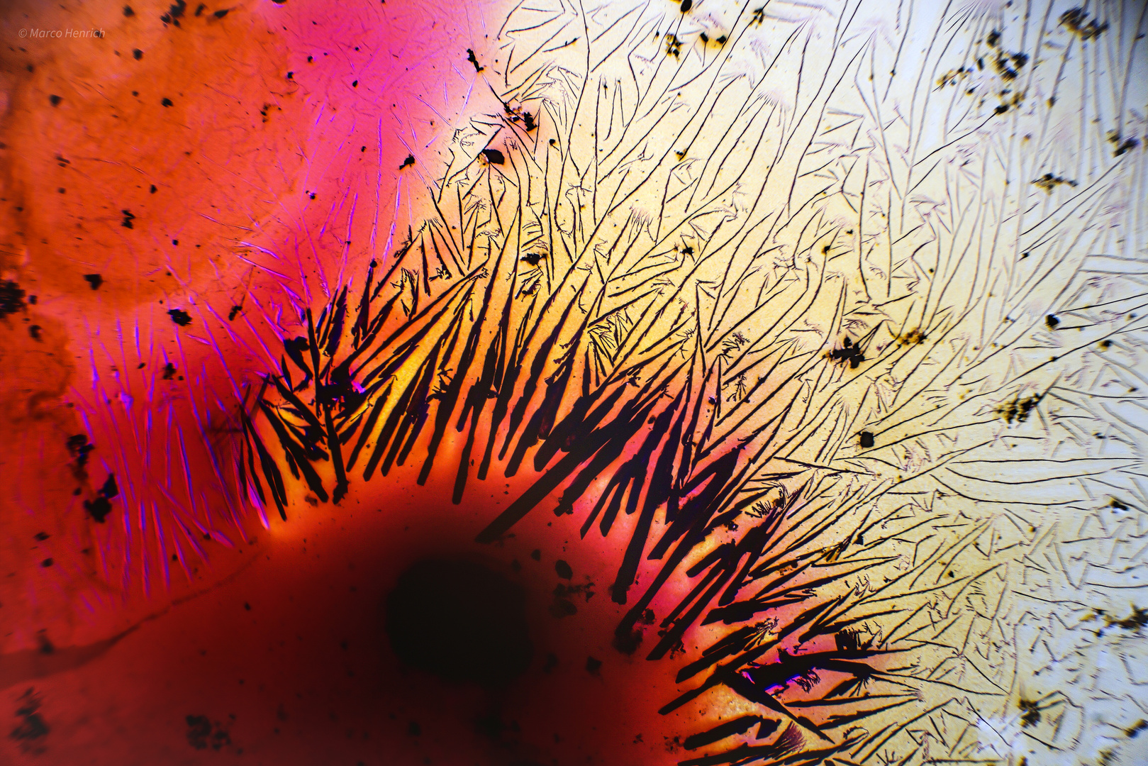 Weinsäure Foto & Bild | nah- & makro, techniken, aufnahme-techniken Bilder auf fotocommunity