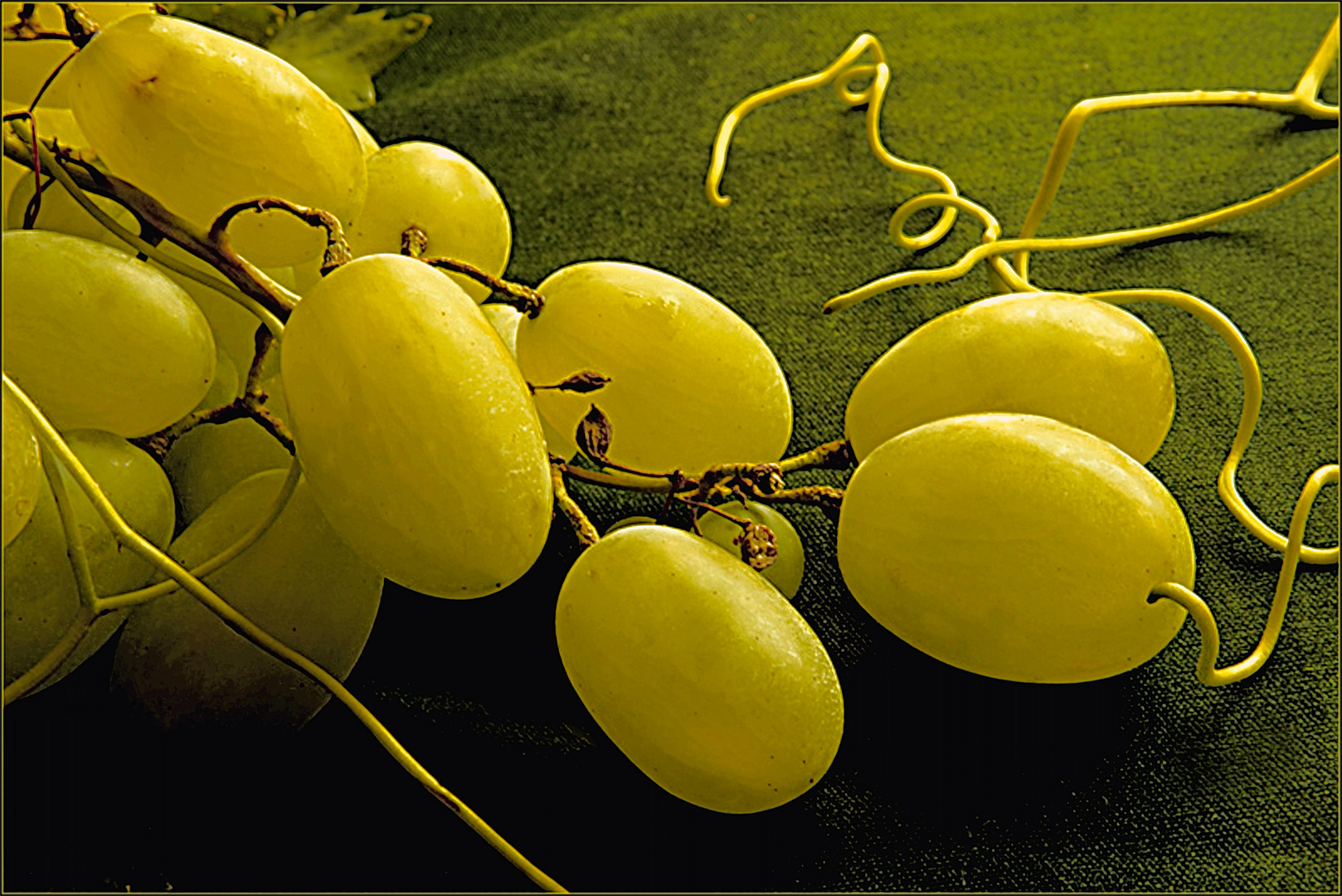 Weintrauben Foto & Bild | obst , fotos, spezial Bilder auf fotocommunity