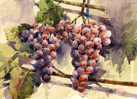 Weintrauben (Aquarell - OD) Foto & Bild | kunstfotografie & kultur ...