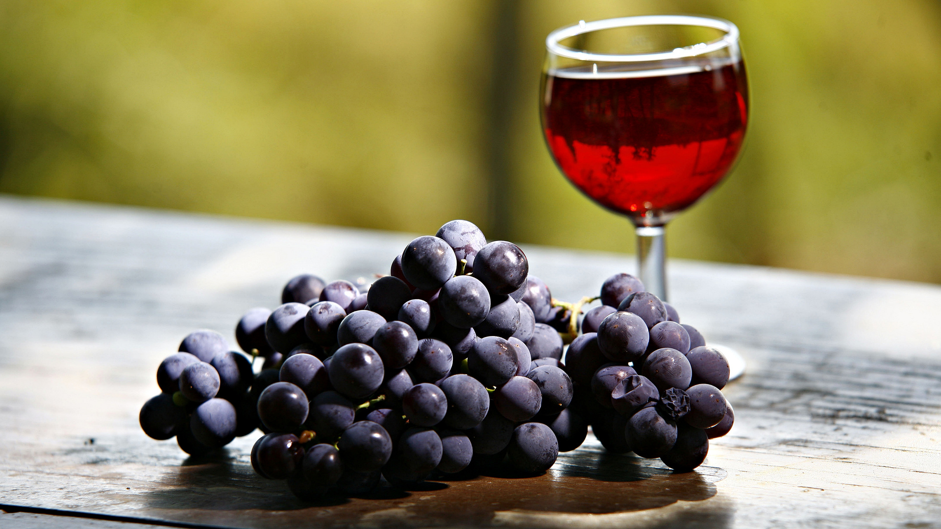 Weintrauben und Wein im Uhudlerland Burgenland Foto & Bild | stillleben ...