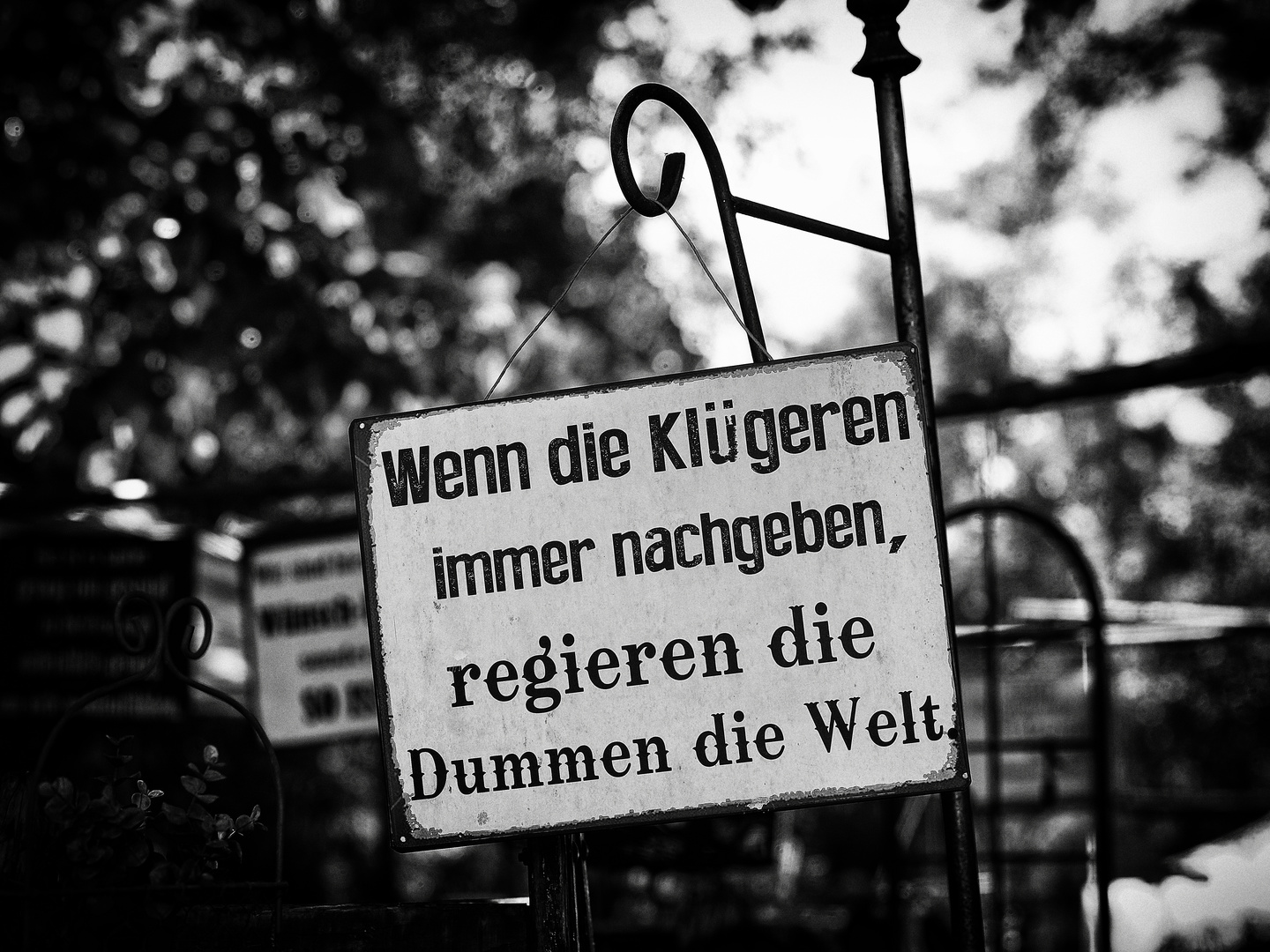 Weisheit?! Foto & Bild | reportage dokumentation, zeit geschichte ...