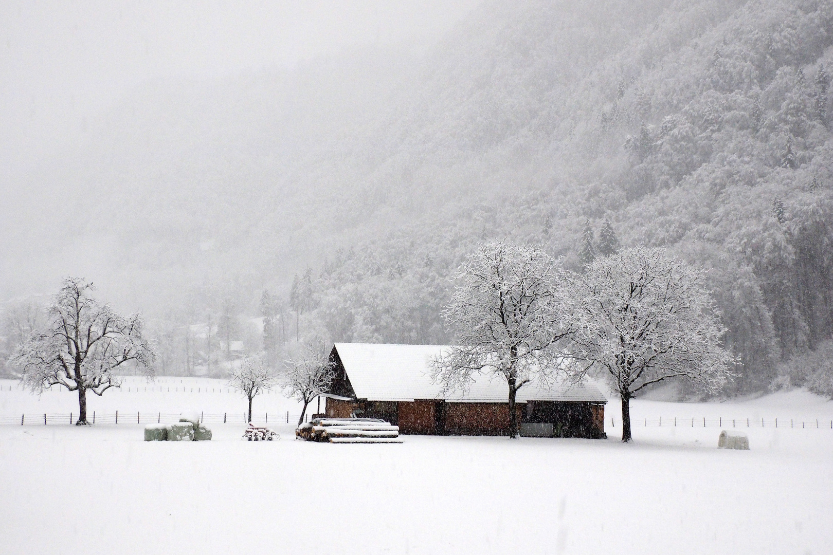 weiss.... Foto & Bild | landschaft, motive, natur Bilder auf fotocommunity