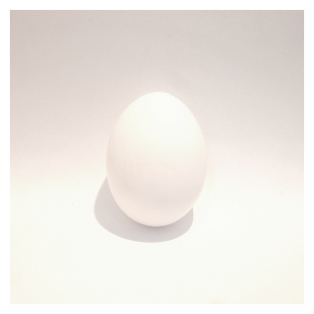 weiß - ei Foto & Bild | food, hell, weiß Bilder auf fotocommunity