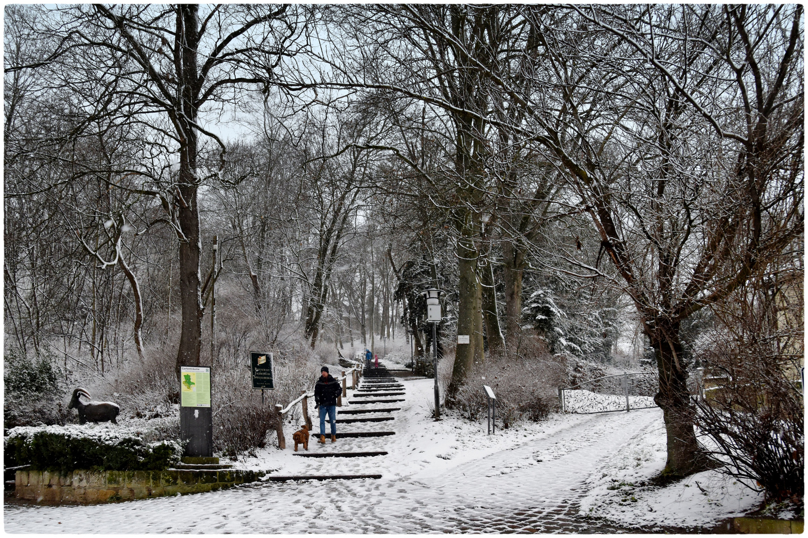 weiße Pracht 3 Foto & Bild | wald, landschaften, winter Bilder auf fotocommunity