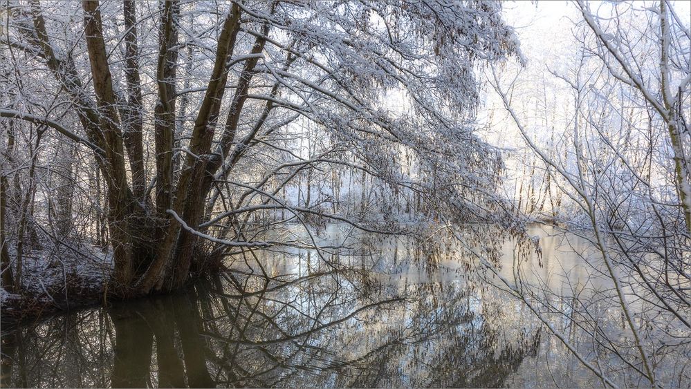Weisse Pracht am Samstagmorgen ... Foto & Bild | landschaft, jahreszeiten, winter Bilder auf ...