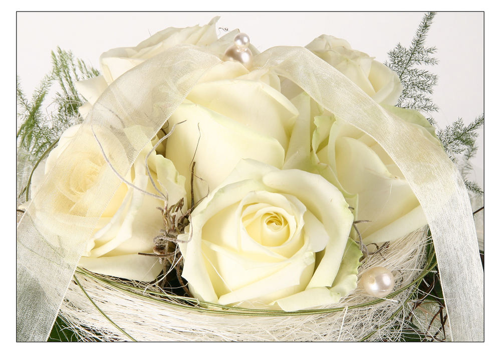 Weisse Rosen Foto & Bild | stillleben, zufällige arrangements, motive ...