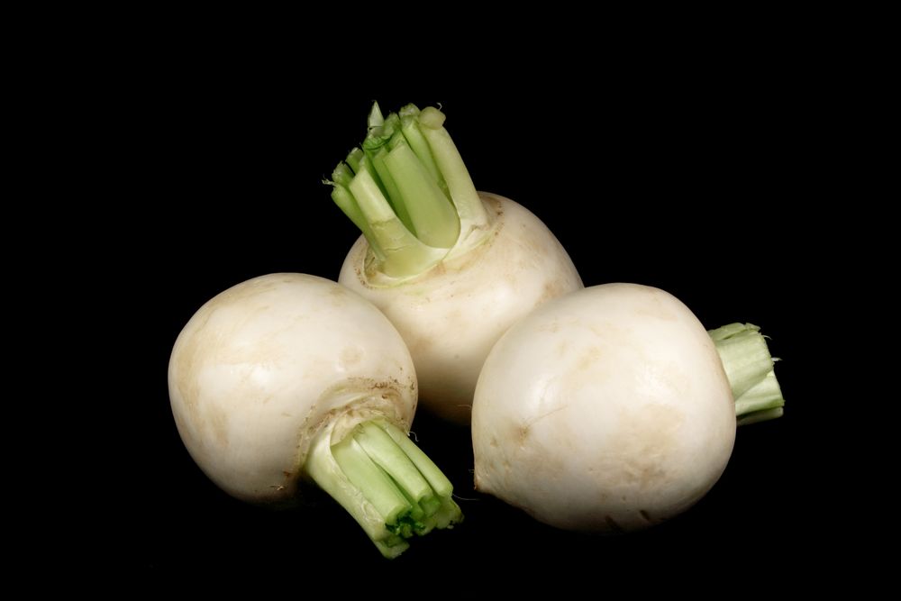weiße Rüben b Foto & Bild | stillleben, food-fotografie, obst & gemüse ...