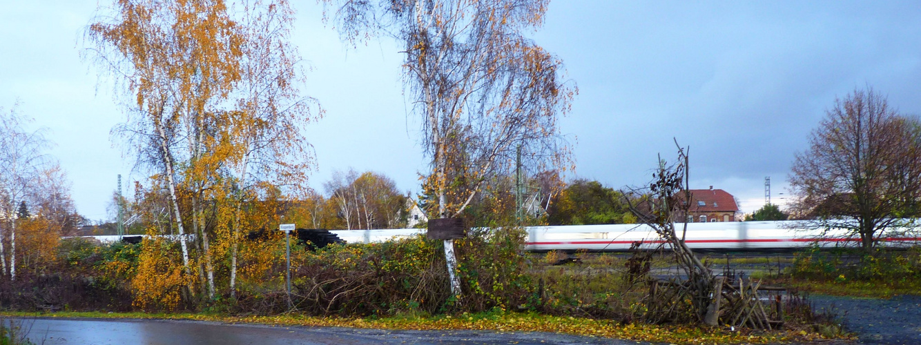 Weisser Strich ICE Foto & Bild | züge, hochgeschwindigkeitszüge ...