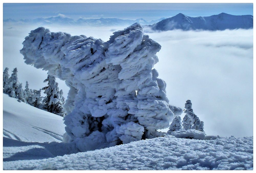 Weißer Zauber Foto & Bild | landschaften, natur, landschaft Bilder auf ...