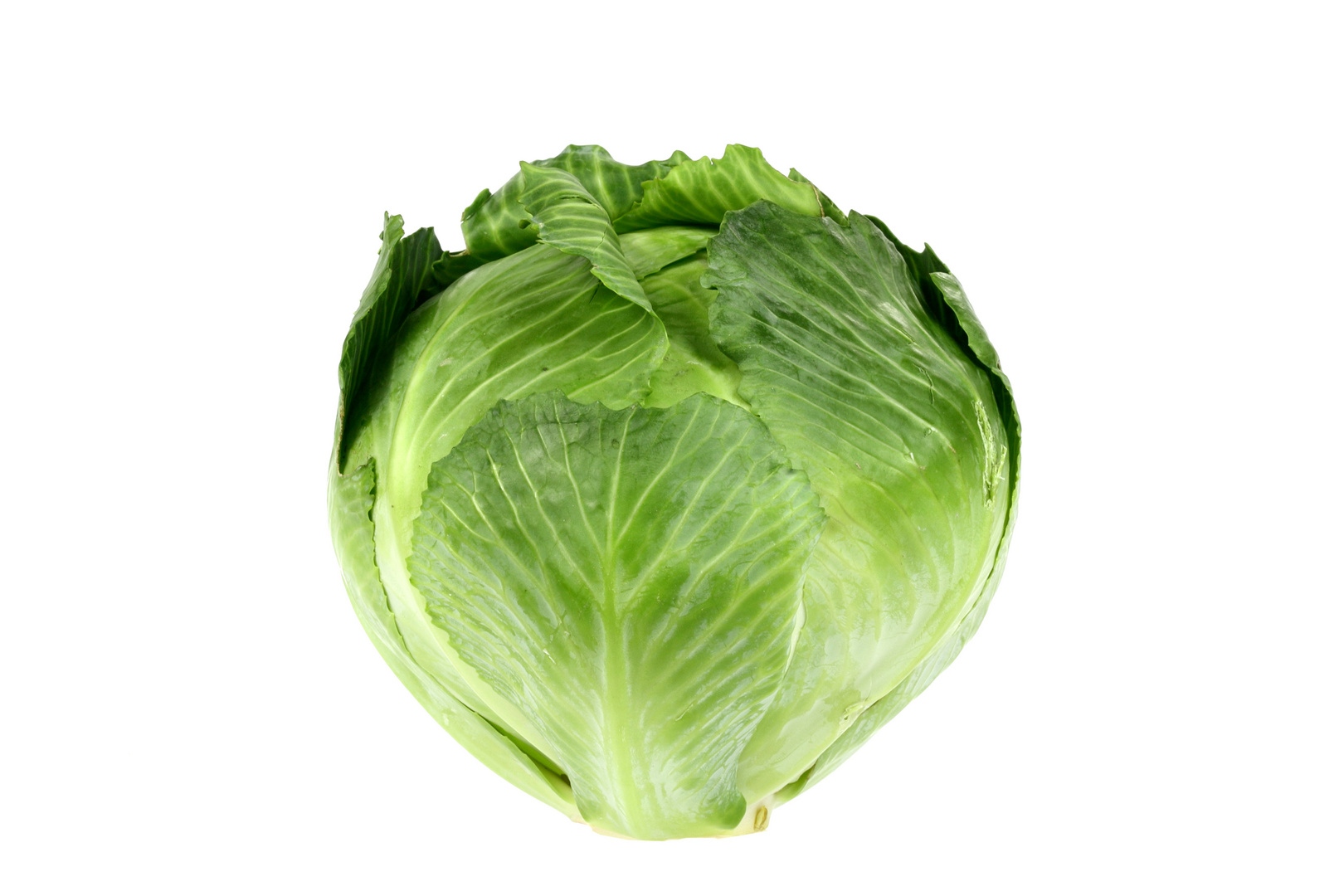 Weißkraut d Foto & Bild | stillleben, food-fotografie, obst & gemüse ...