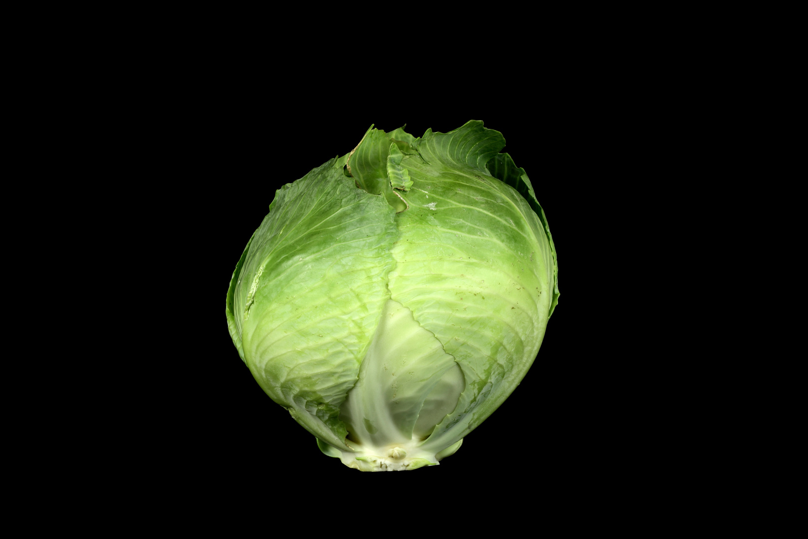 Weißkraut f Foto & Bild | stillleben, food-fotografie, obst & gemüse ...